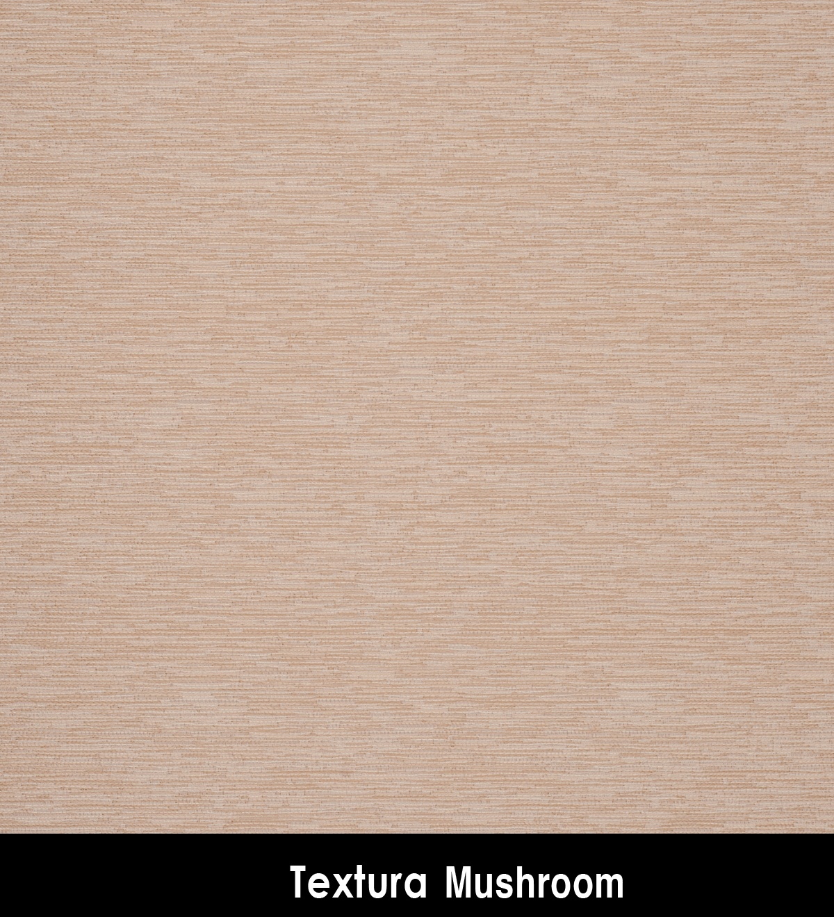 Textura_Mushroom - US Verticals